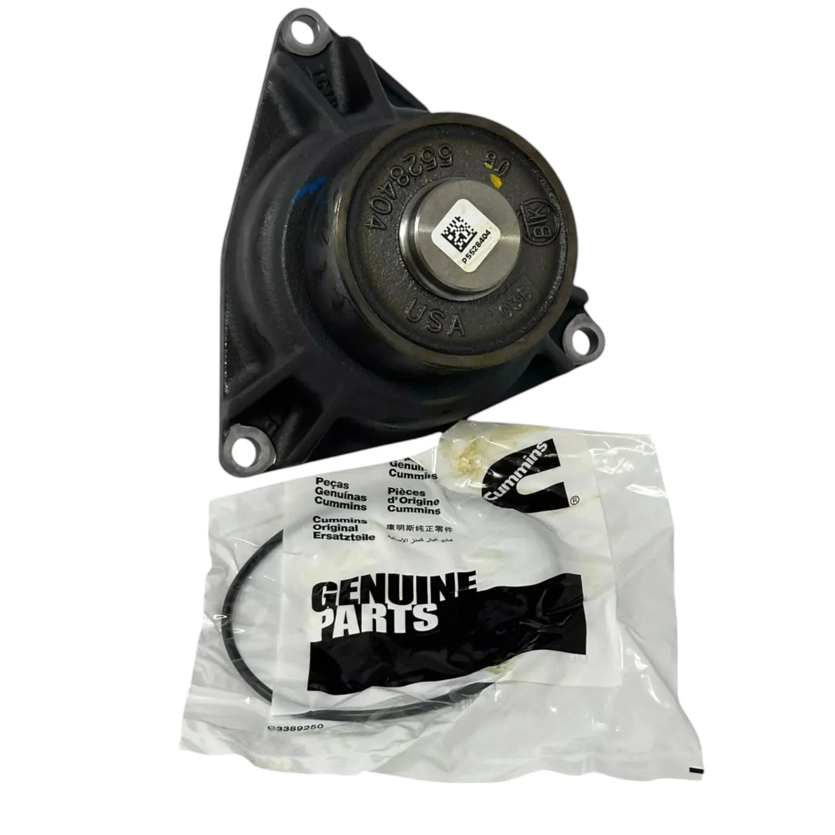 5579022 Cummins Water Pump Kit – Truck To Trailer